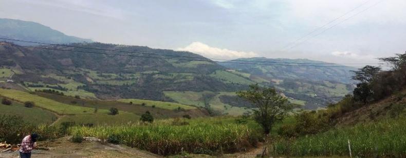 La inclusión financiera rural en Colombia